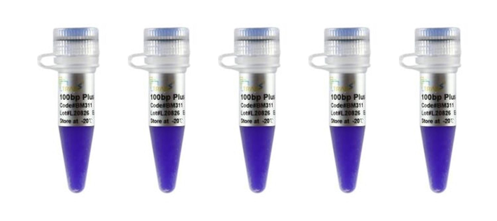 IVYX Scientific DNA Ladders for Gel Electrophoresis (100bp - 1Kb)