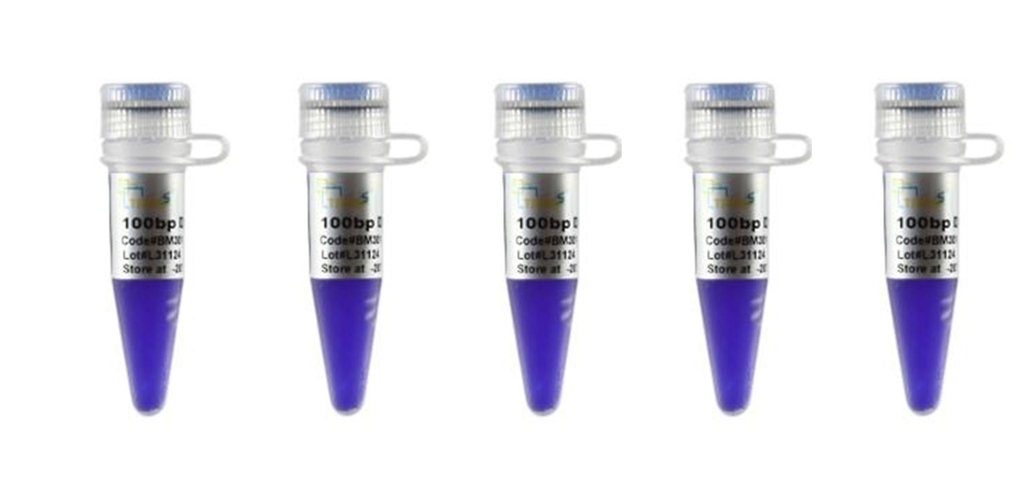 IVYX Scientific DNA Ladders for Gel Electrophoresis (100bp - 1Kb)